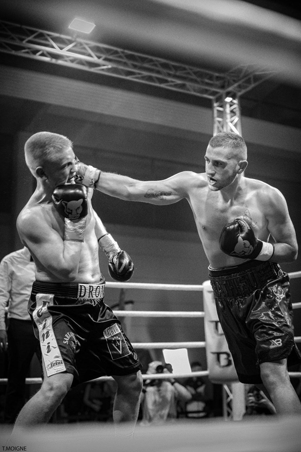 Boxeurs professionnels - Esprit Boxe 34